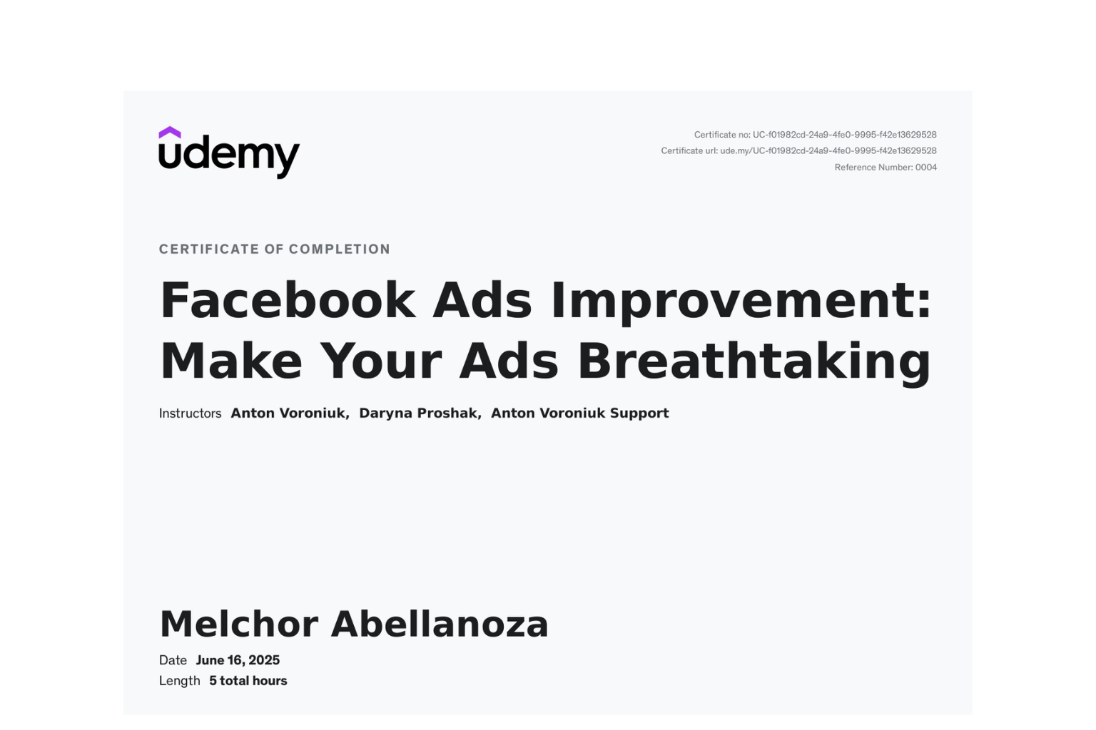 Virtual Ally | SOCIAL MEDIA BUYER